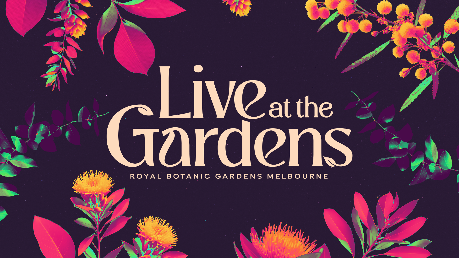 Live At The Gardens | Line Up